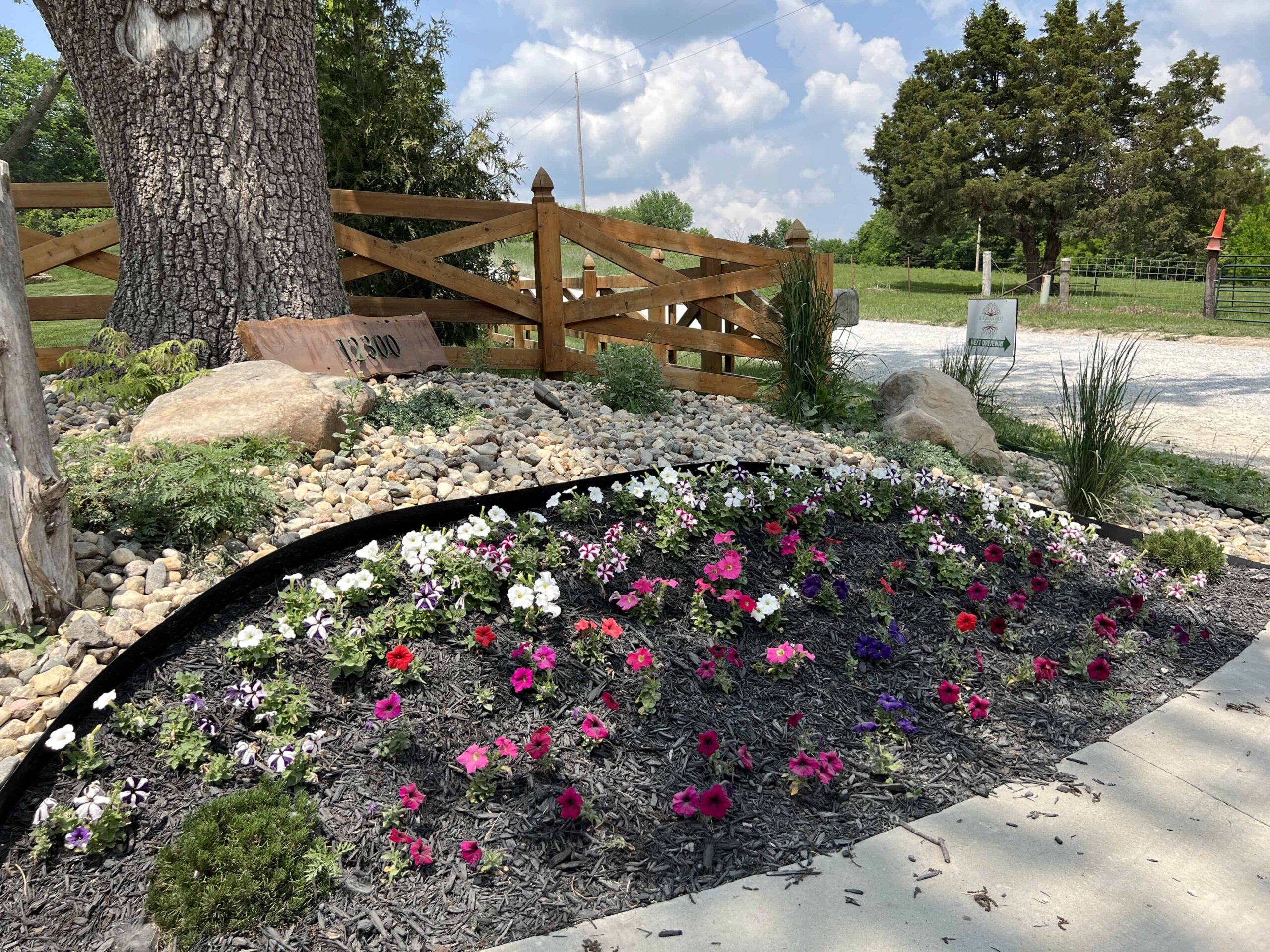 Showcase - The Shamrock Ranch - Blue Sparrow Lawn and Landscape