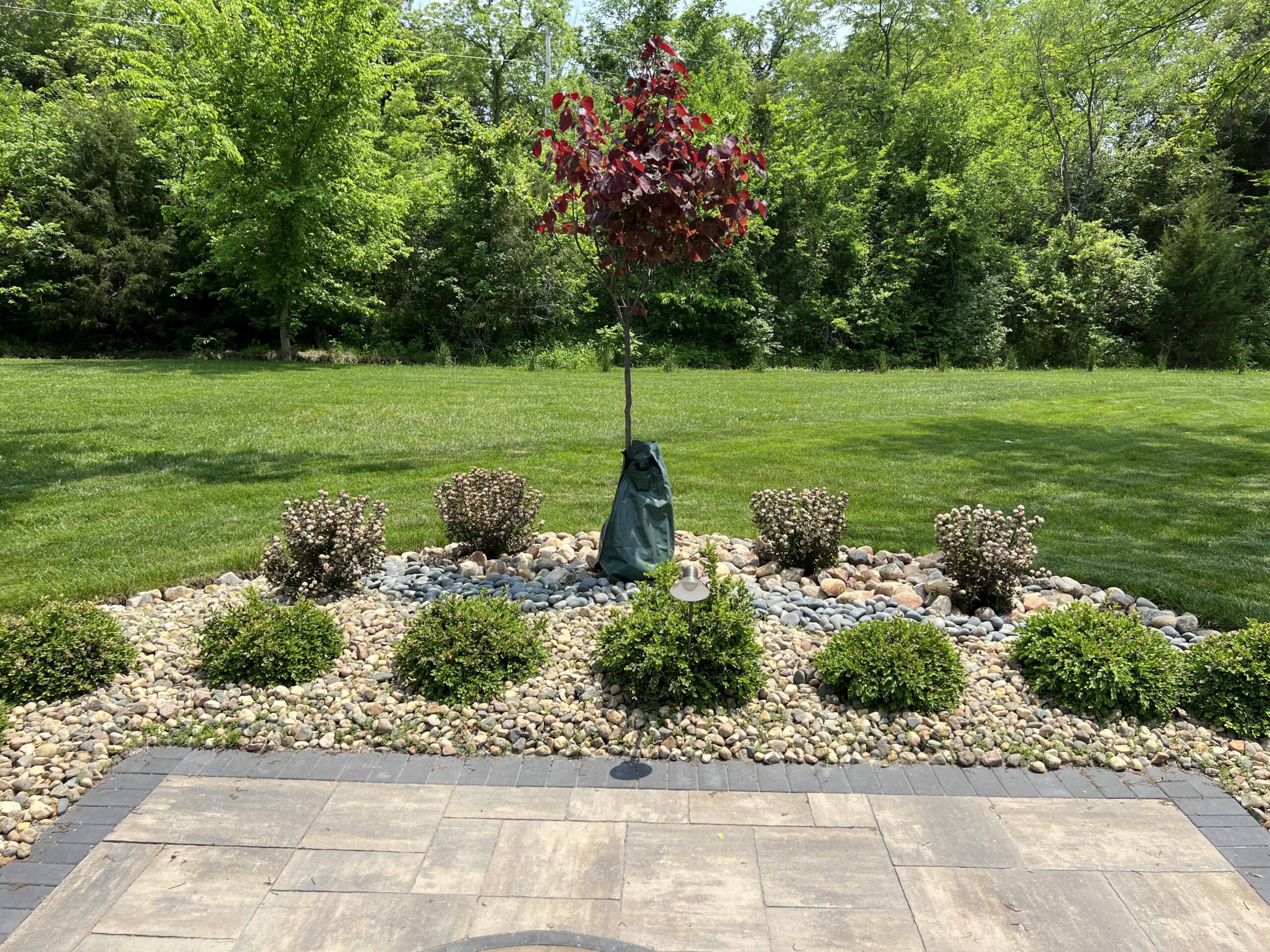 Showcase - The Shamrock Ranch - Blue Sparrow Lawn and Landscape