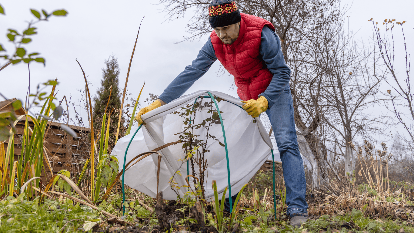 Winter Garden Cleanup: A Step Toward a Healthier Spring
